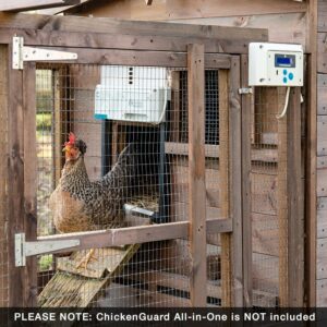 Automatic Chicken Door Shop - ChickenGuard