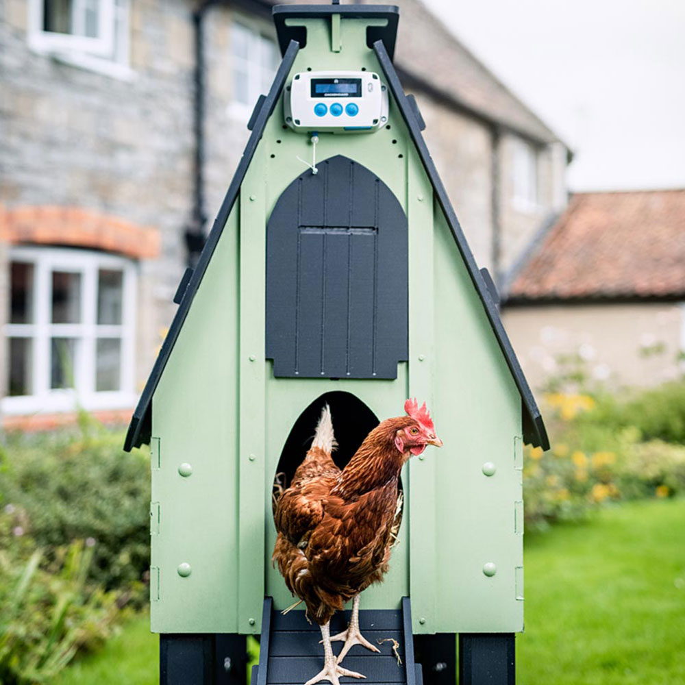 ChickenGuard Standard - Auto Chicken Door with Timer - ChickenGuard