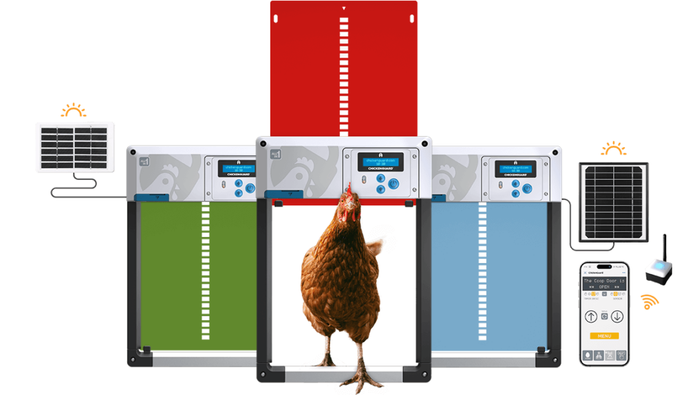 The Worlds Best Automatic Chicken Coop Door - ChickenGuard