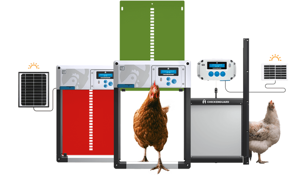 The Worlds Best Automatic Chicken Coop Door - ChickenGuard