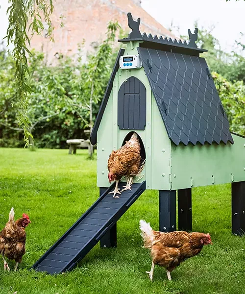Chicken Coops - ChickenGuard